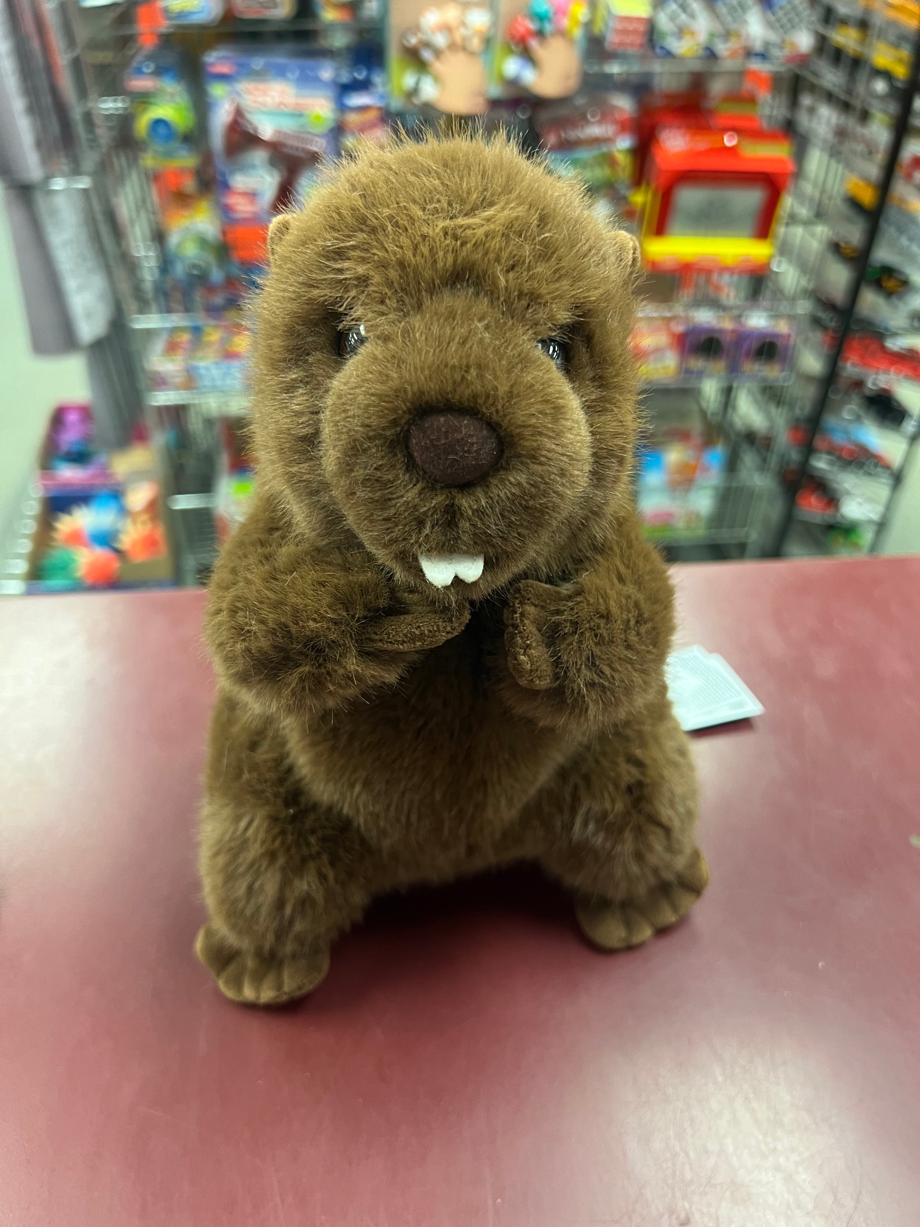 Douglas Bev The Beaver